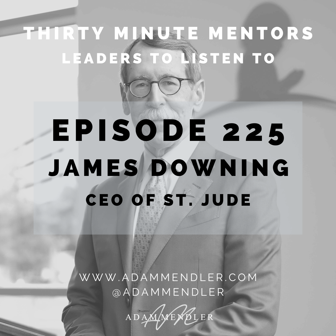 Episode 225: St. Jude CEO James Downing - Adam Mendler